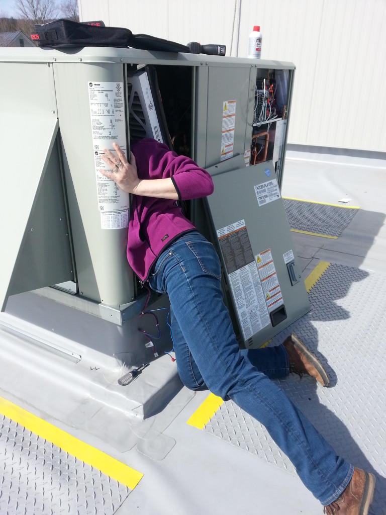 Energy Efficiency and the Commissioning Agent